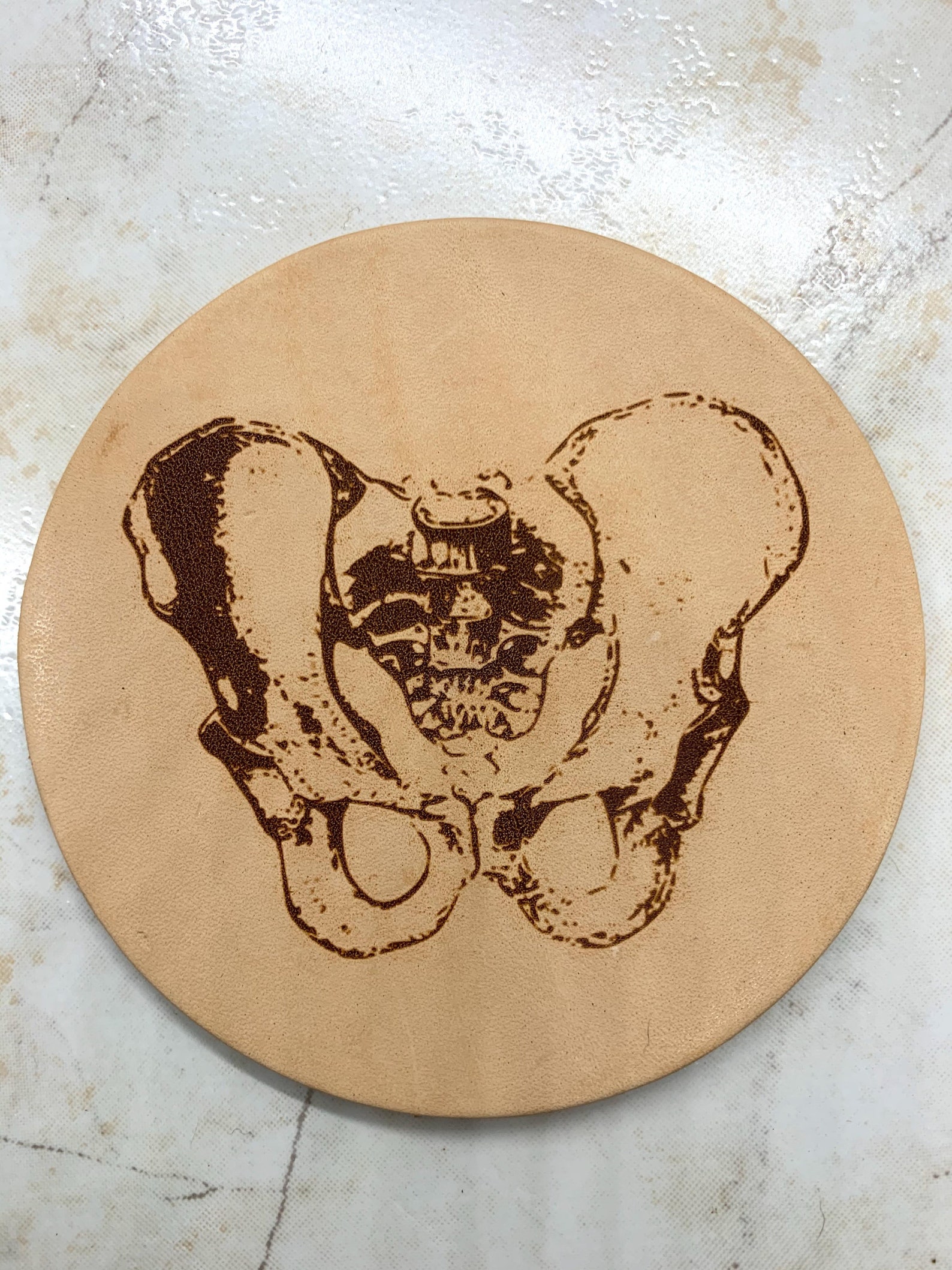 Set-human Anatomy Leather Coasters,nurse,doctor,medical School Gift ...