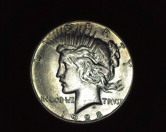 PCGS 1928 Peace Dollar XF Detail Graded Peace Dollar - Etsy