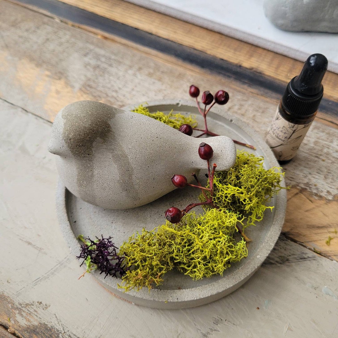 Concrete Diffuser for Essential Oil Home Decor Concrete Bird - Etsy