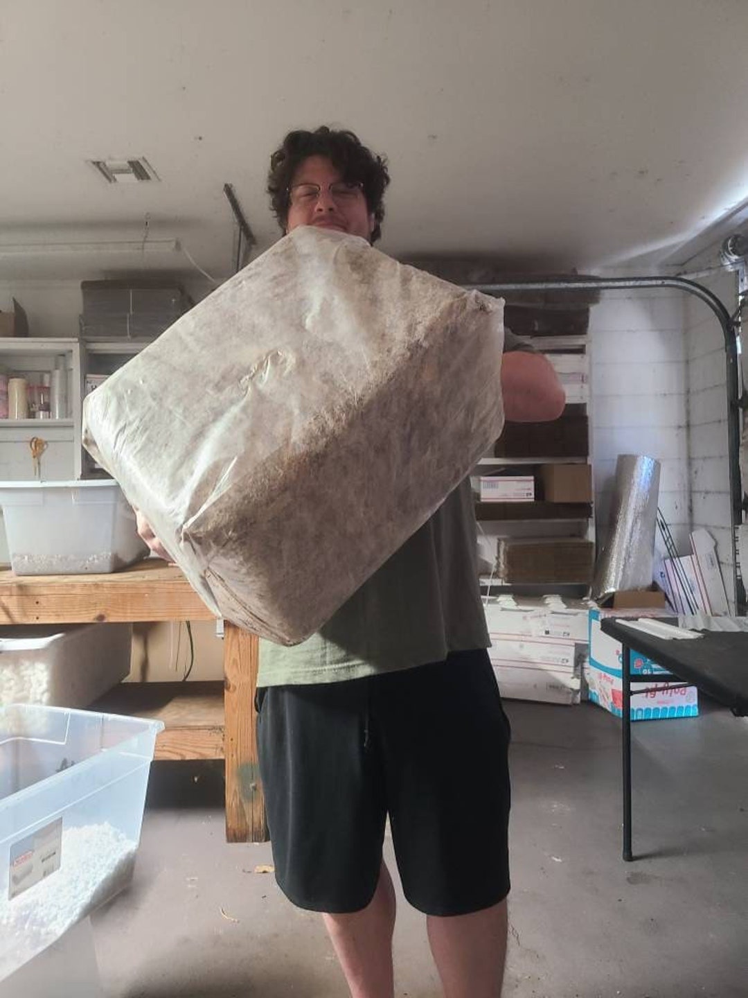 Huge Moss Bale - Etsy