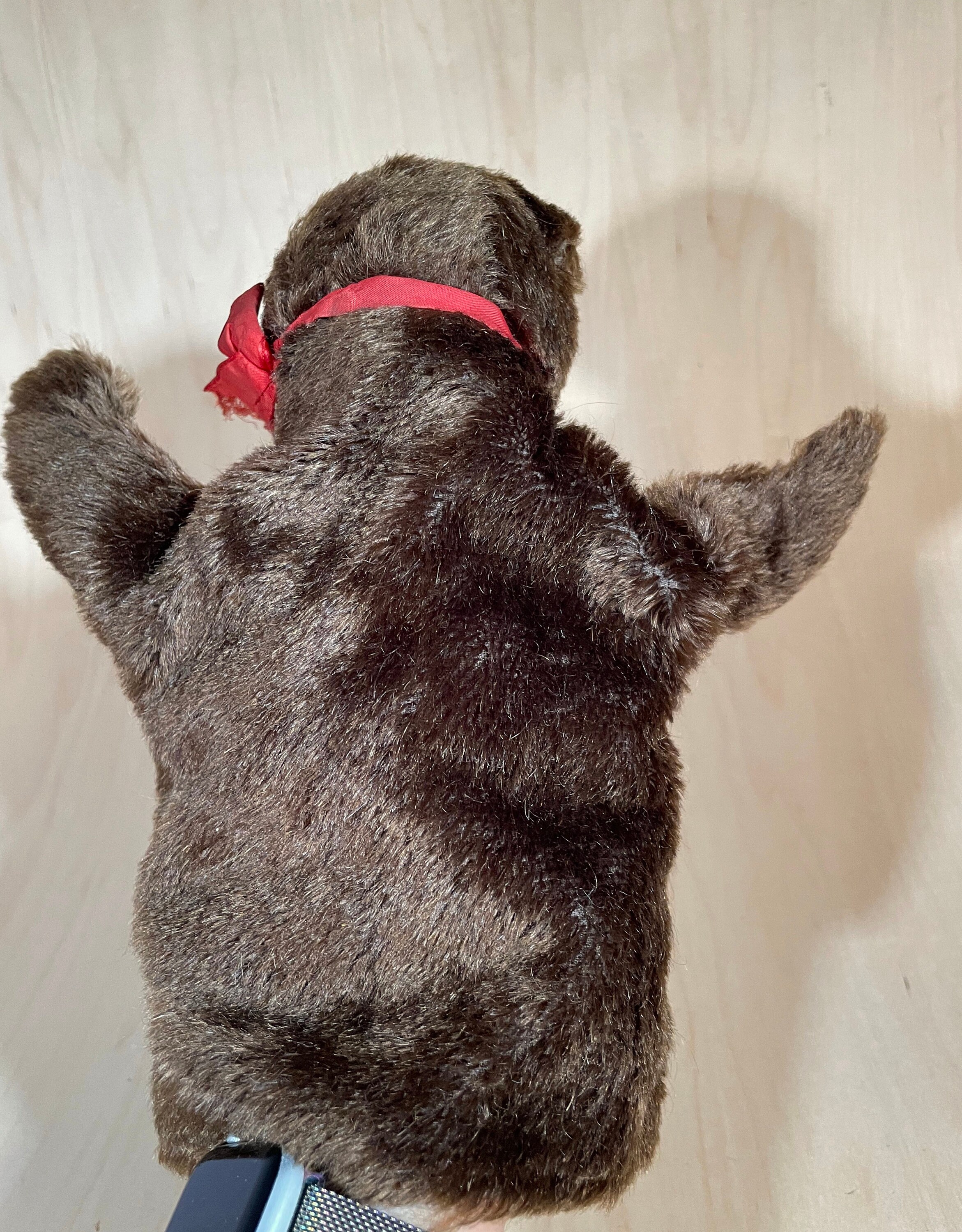 Steiff Teddy Baby Hand Puppet Vintage Steiff 1950s Steiff - Etsy