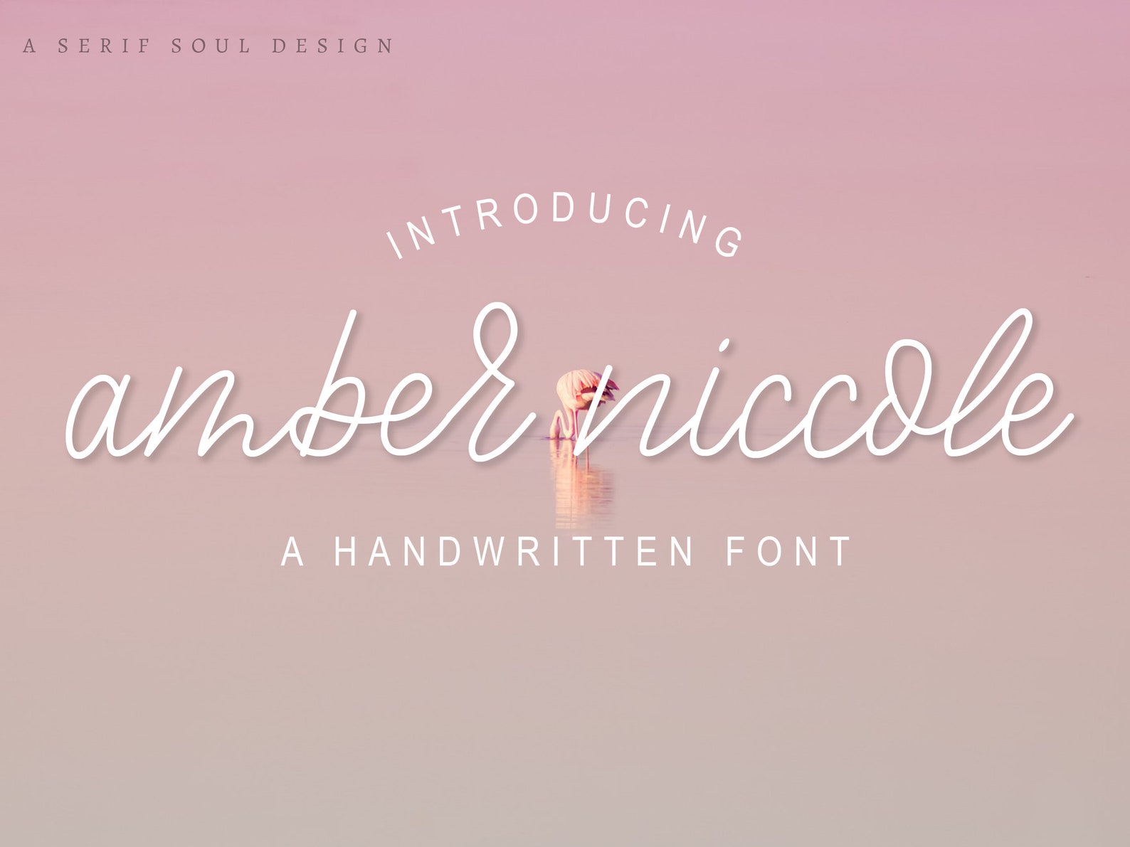 Amber Niccole Hand Lettered Font, Cursive Font, Calligraphy Font, OTF ...
