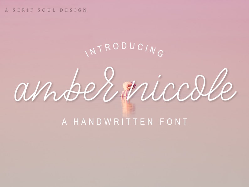 Amber Niccole Hand Lettered Font, Cursive Font, Calligraphy Font, OTF ...