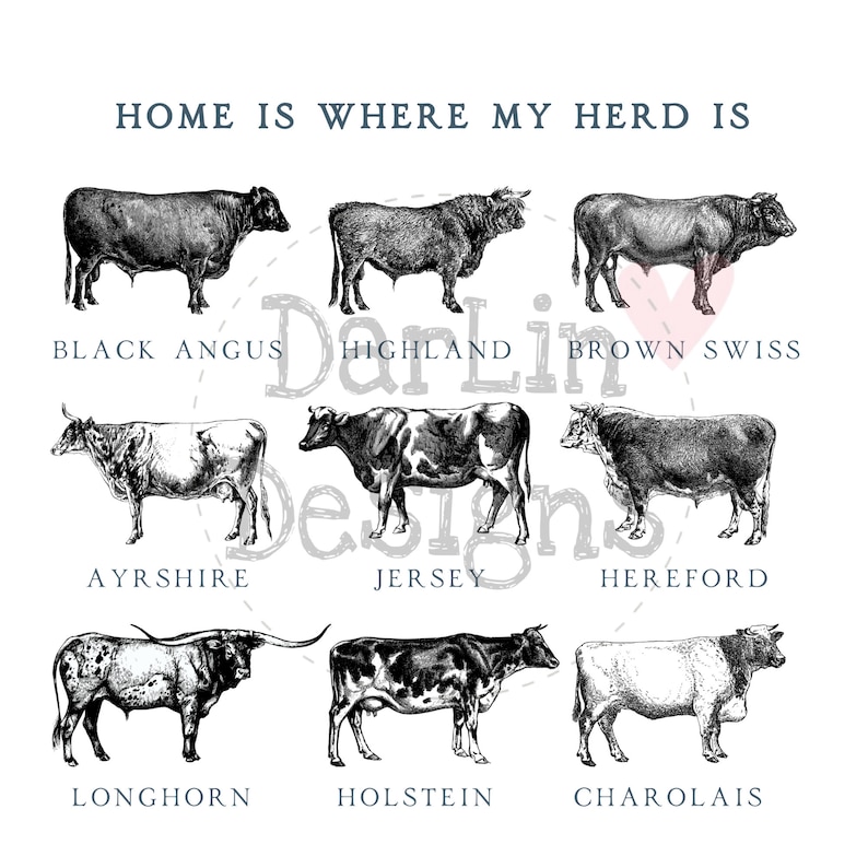 Cow Herd DTF Transfer Warm Peel - Etsy