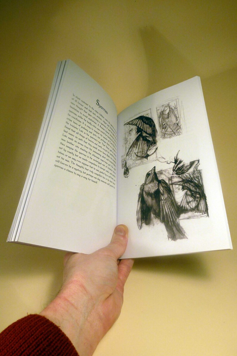 The Death of Cock Robin Illustrated Paperback Book by Joseph - Etsy