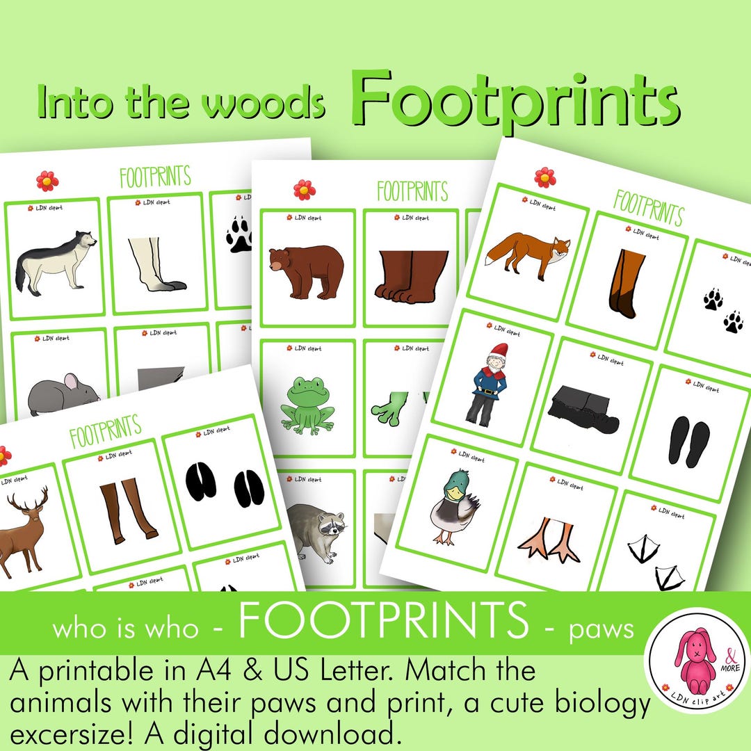 Footprints INTO THE WOODS, Find the Right Paw for the Print| for Slp ...