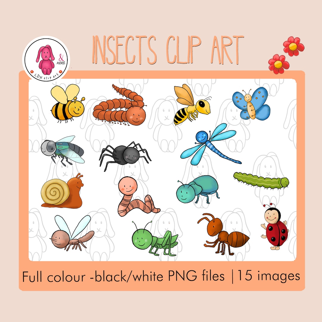 INSECTS Clip Art With Creepy Crawlies and Cute Bugs to Make - Etsy