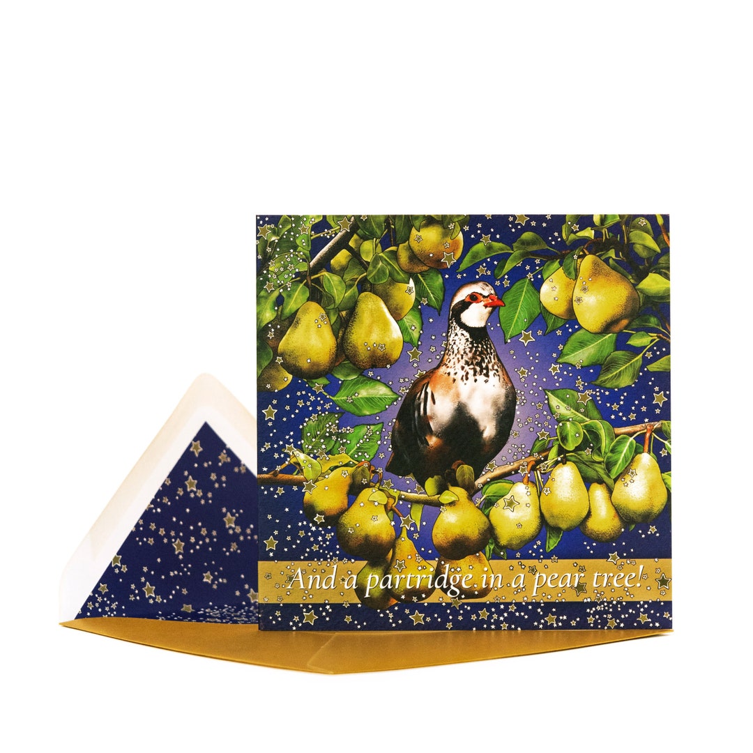 PARTRIDGE in a PEAR TREE by Rachel James Christmas Card A Hand Drawn ...