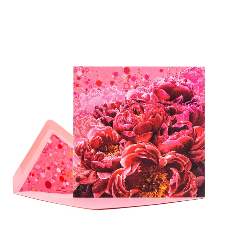 PEONIES by Rachel James Greetings Card A Hand Drawn Illustration Print ...