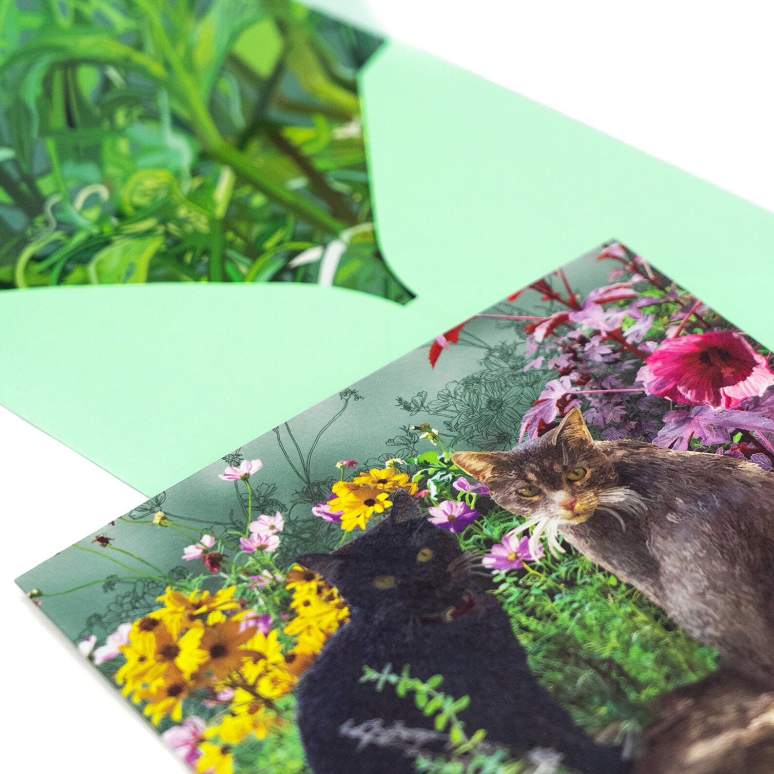 VICTOR & HUGO Cats in the Garden by Rachel James Greetings - Etsy