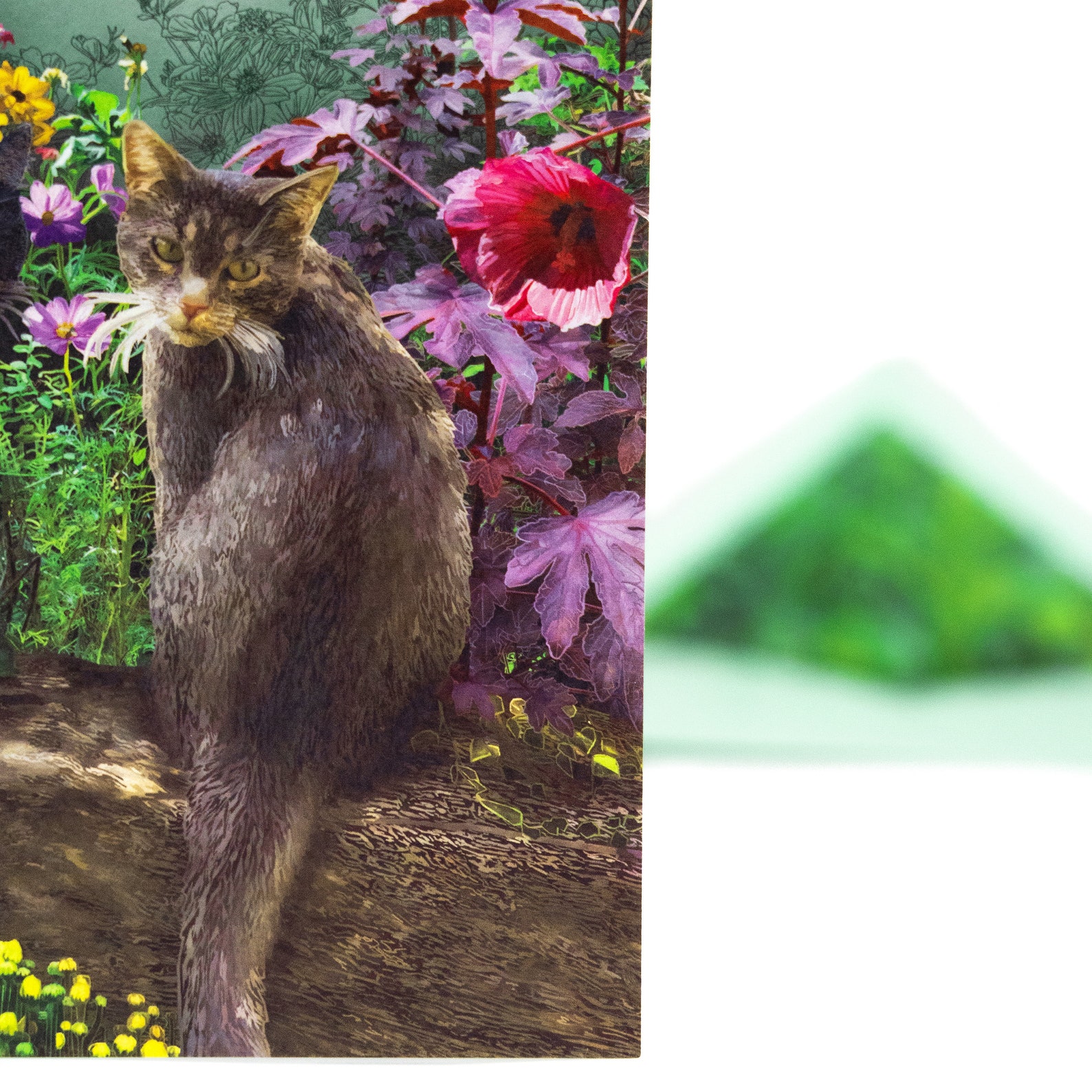 VICTOR & HUGO Cats in the Garden by Rachel James Greetings - Etsy