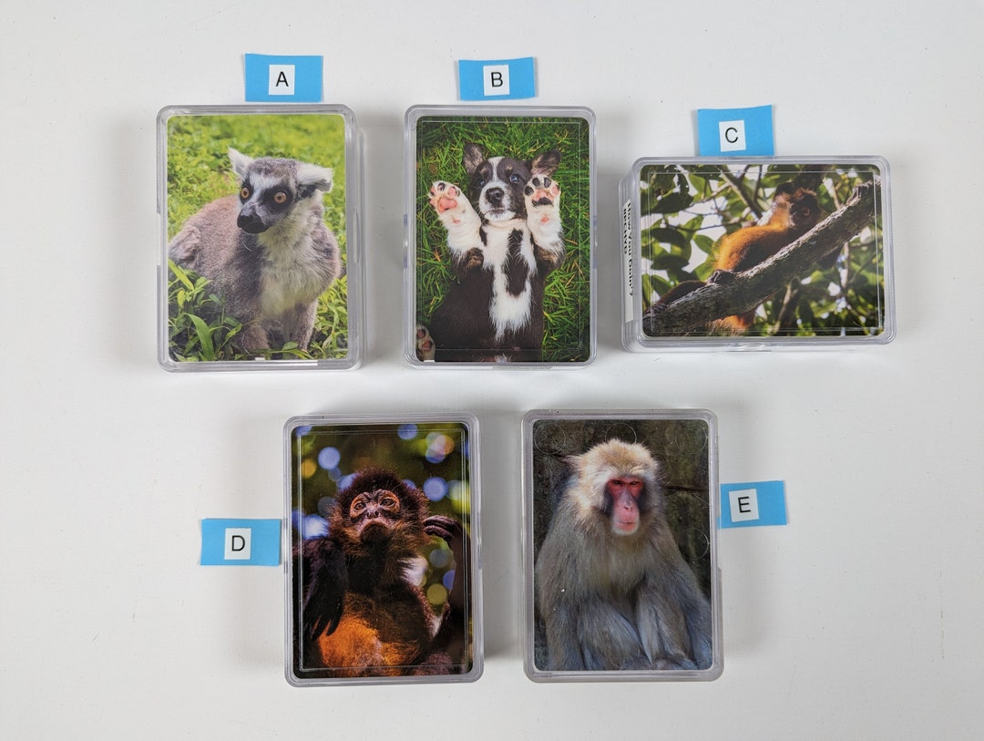DECK of PLAYING CARDS - Monkey Playing Cards, Corgi Playing Cards, Snow ...