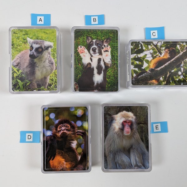 Monkey Playing Cards - Etsy