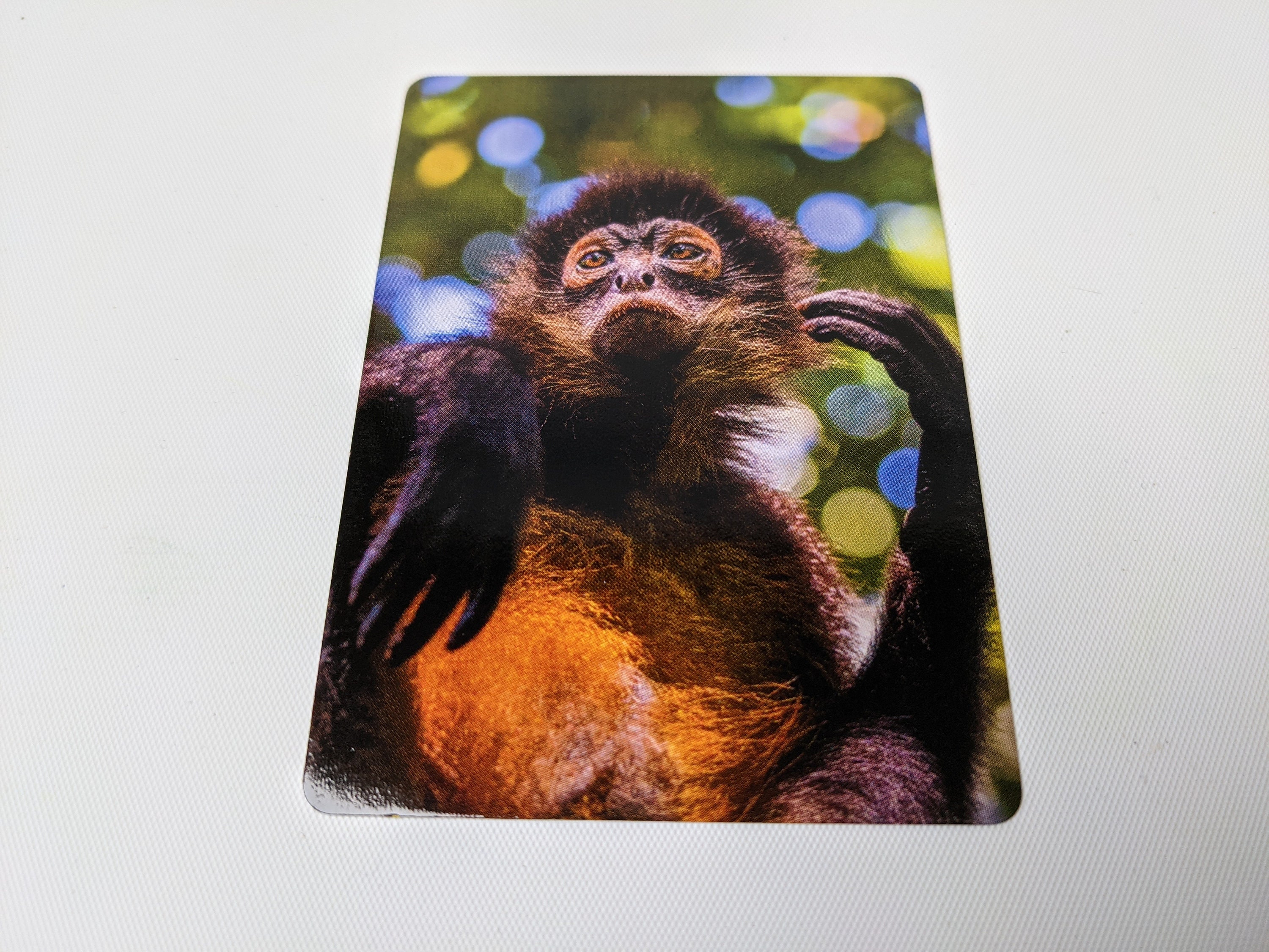 DECK of PLAYING CARDS - Monkey Playing Cards, Corgi Playing Cards, Snow ...