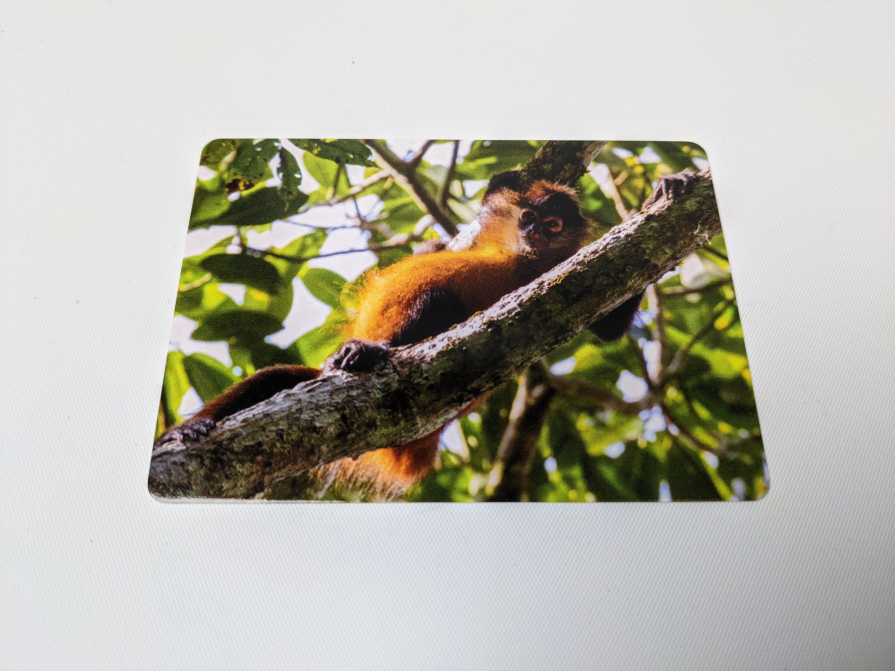 DECK of PLAYING CARDS - Monkey Playing Cards, Corgi Playing Cards, Snow ...