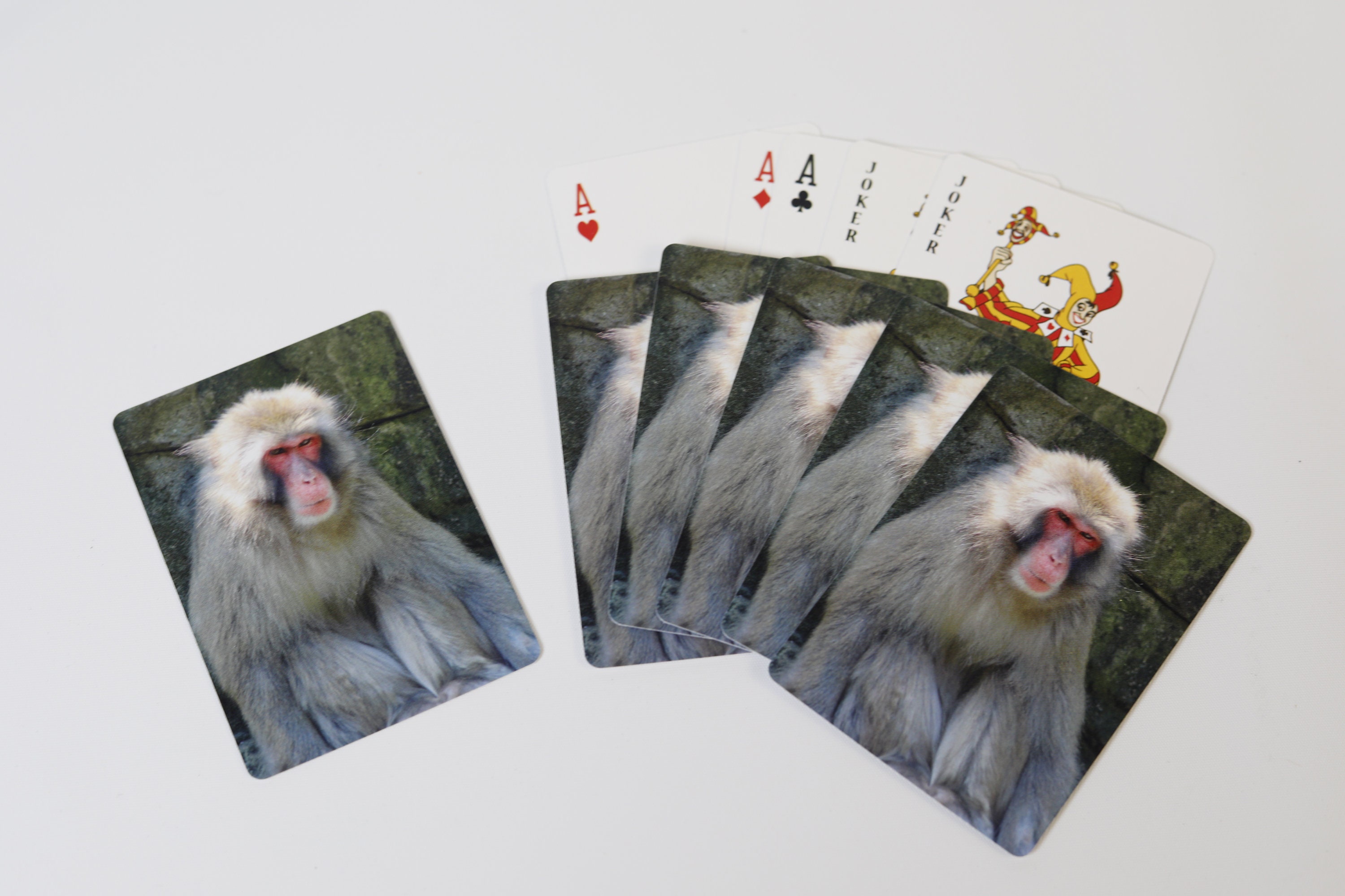 DECK of PLAYING CARDS - Monkey Playing Cards, Corgi Playing Cards, Snow ...