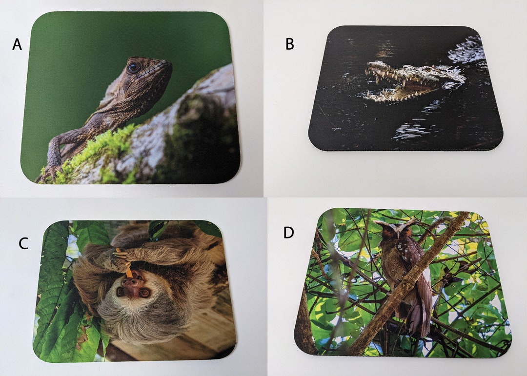 MOUSEPADS- Costa Rica Mousepads, Lizard Mousepads, Sloth Mousepads ...