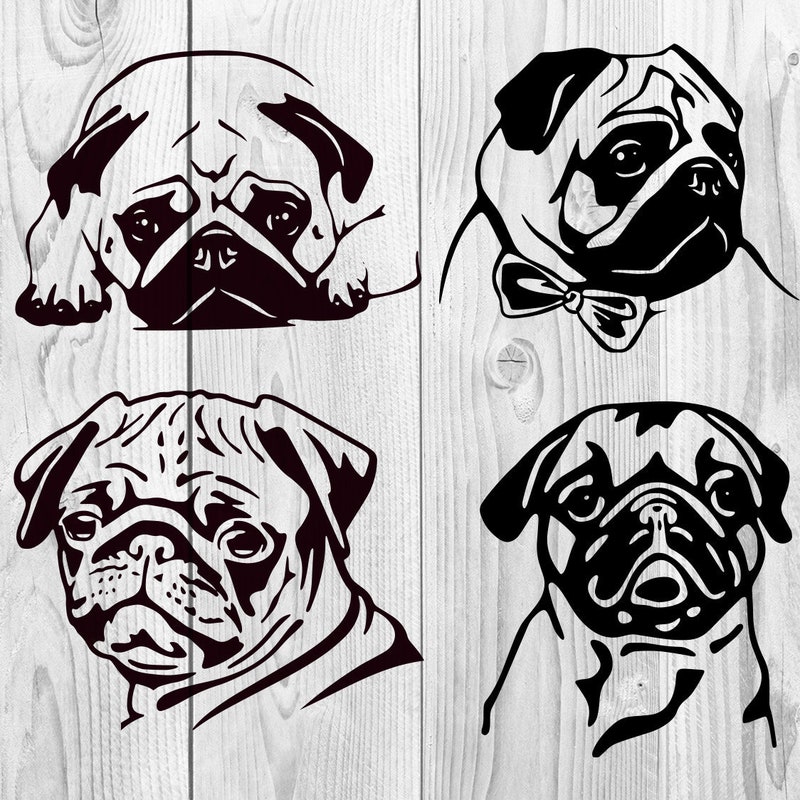 Pug Svg - Etsy