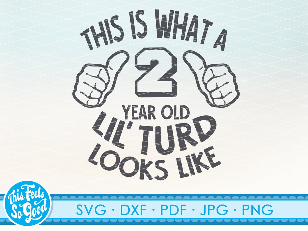 2 Years Old Svg, 2nd Birthday SVG, Second Birthday Svg, Twos Svg Files ...
