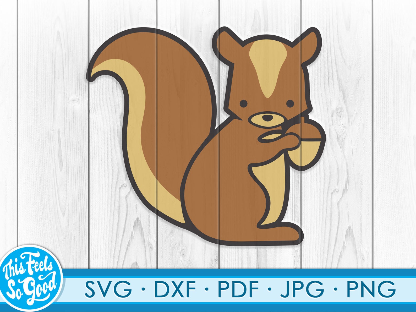 Cute Squirrel Svg Squirrel Cartoon Svg Squirrels Svg Files - Etsy