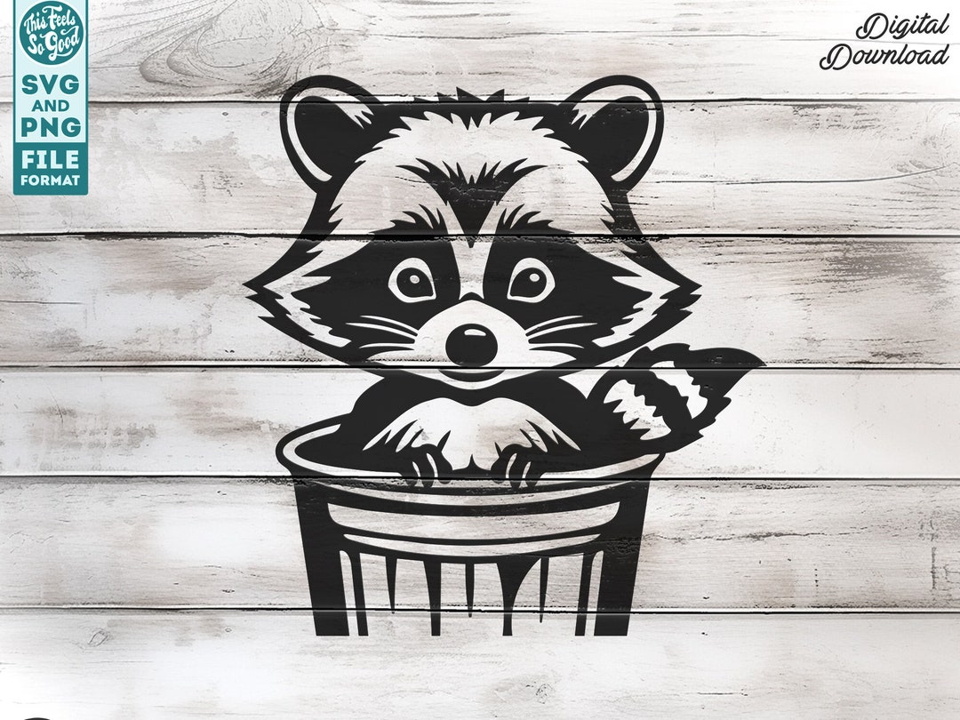 Racoon Svg - Etsy