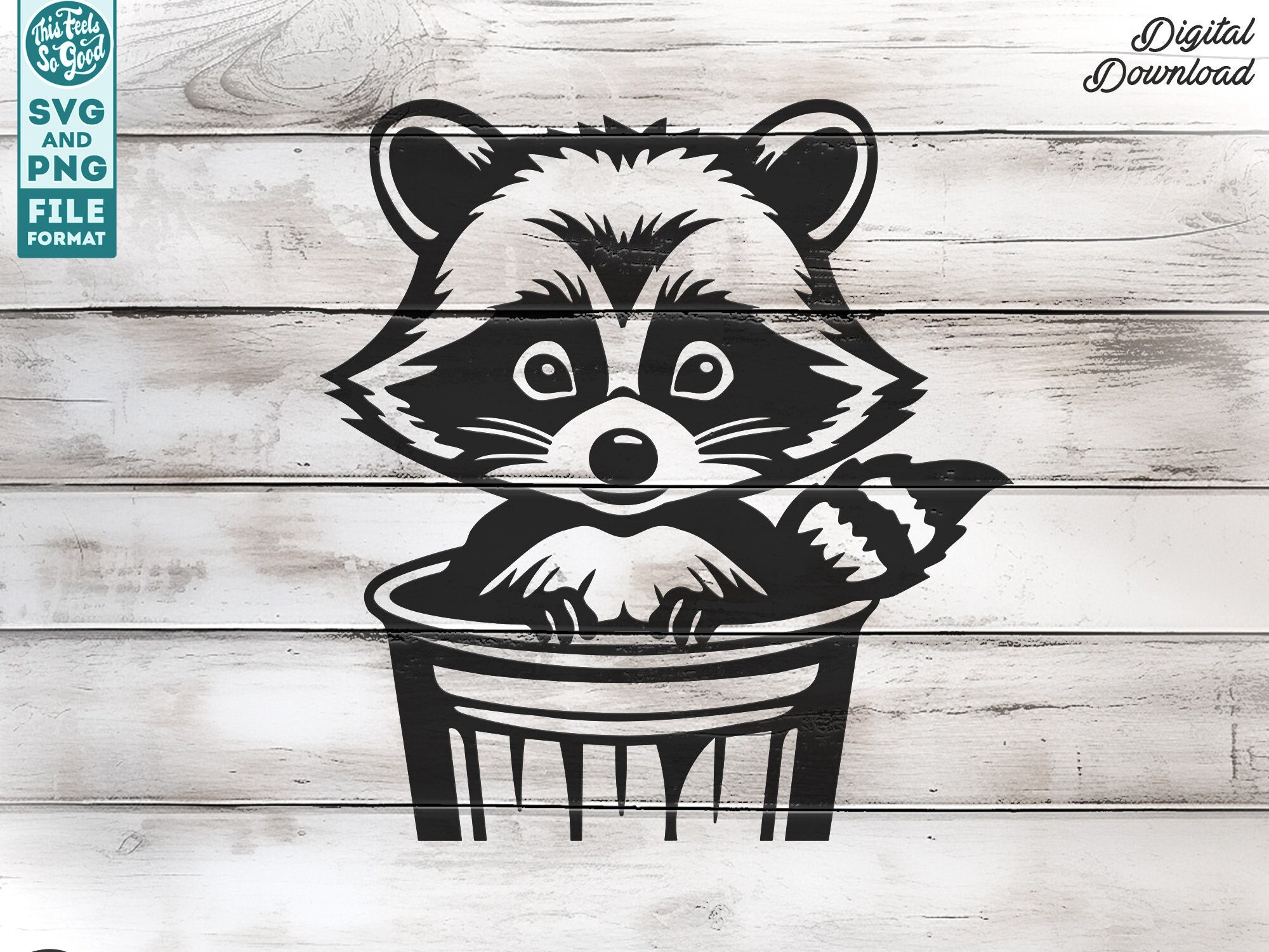 Racoon Svg - Etsy