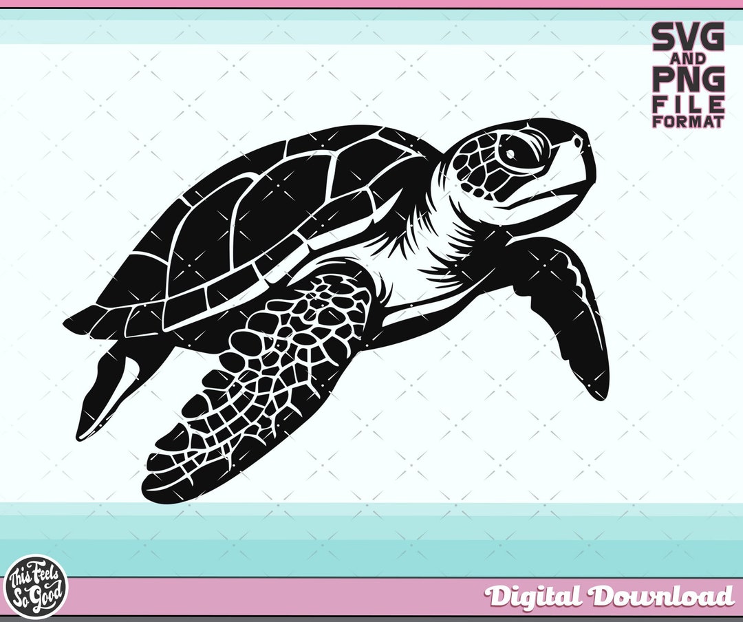 Sea Turtle Svg - Etsy