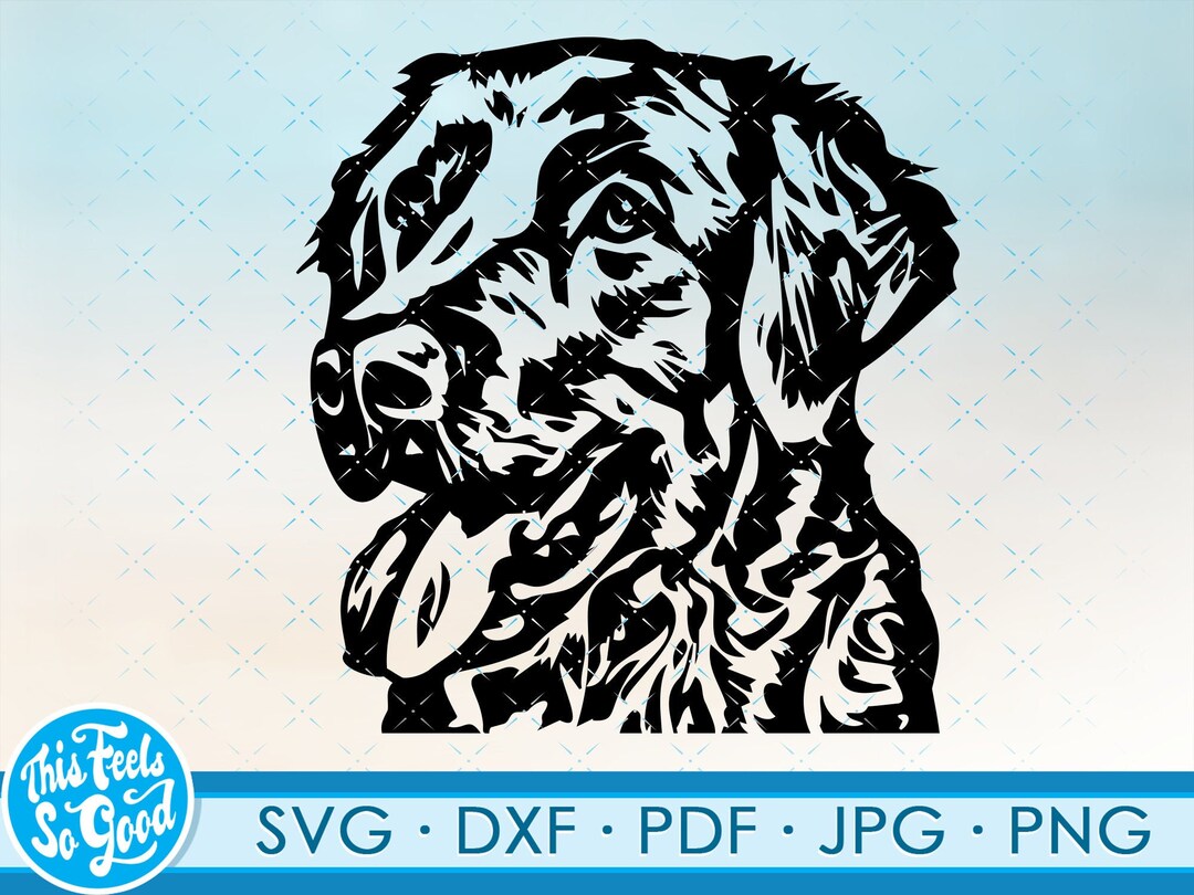 Labrador SVG Png, Labrador Retriever Svg Cut Files, SVG Cutting Files ...