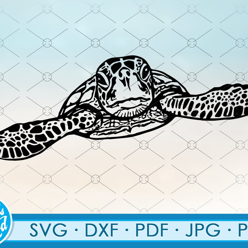 Turtle Svg - Etsy