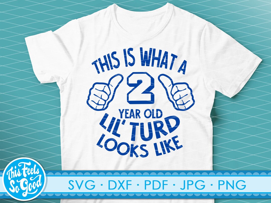 2 Years Old Svg, 2nd Birthday SVG, Second Birthday Svg, Terrible Twos ...