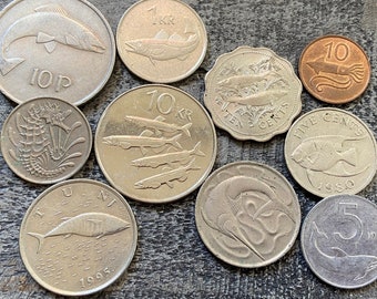 Fish Coin - Etsy