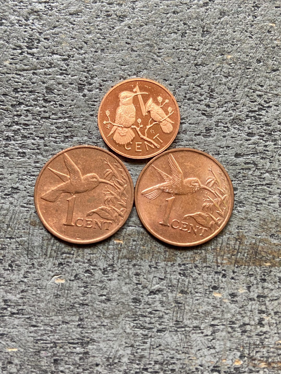 Hummingbird Coin Set - (3 Coins) - Etsy