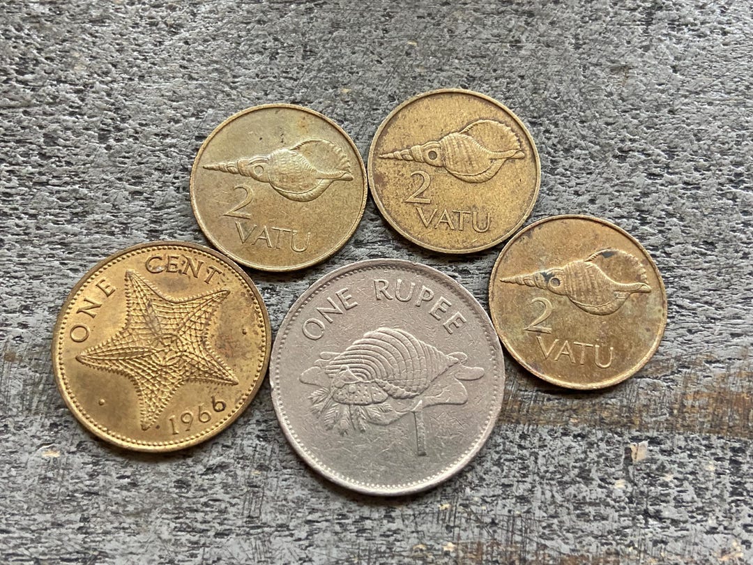 Seashell Coin Set (5 Coins) - Etsy