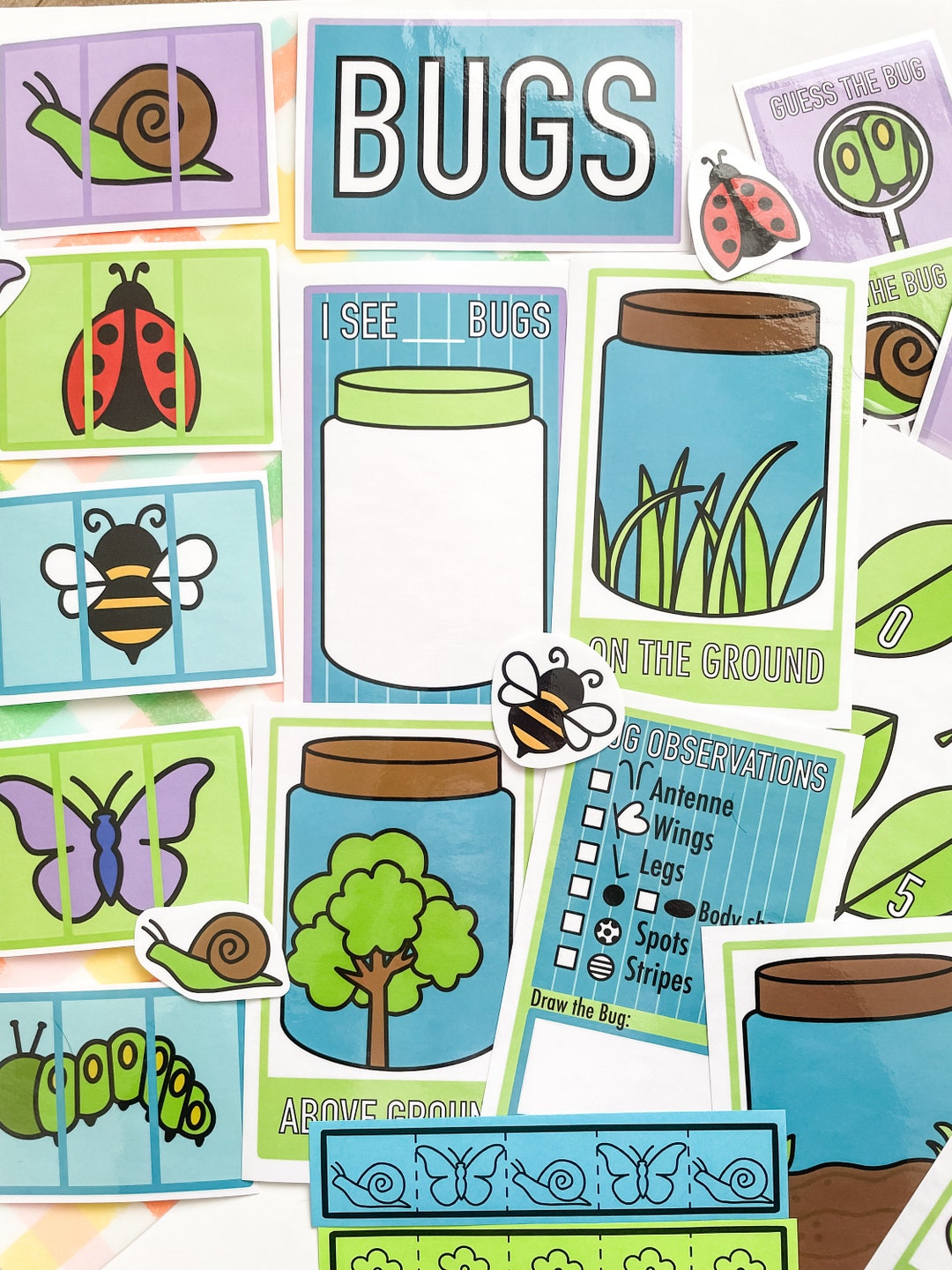 Bugs Preschool Learning Printables - Etsy