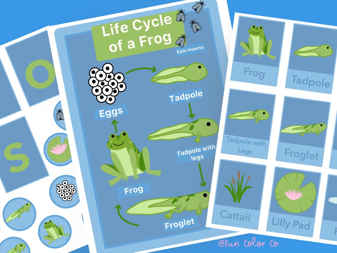 FROG Unit Study, Life Cycle, Anatomy, Nature Study, Science ...