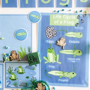 FROG Unit Study, Life Cycle, Anatomy, Nature Study, Science ...