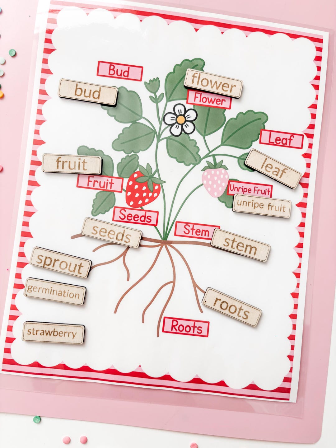 Parts of a Strawberry Plant, Learning Manipulatives, Sensory Play ...