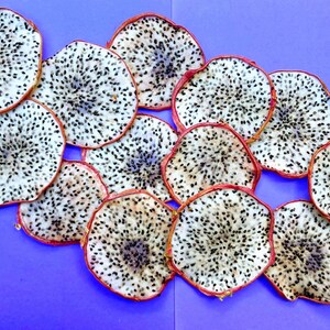 Dehydrated Dragonfruit, Fresh & Ships Fast - Etsy