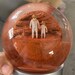 Mars Dust Globe: a Snow Globe With Martian Dust Instead of Snow - Etsy
