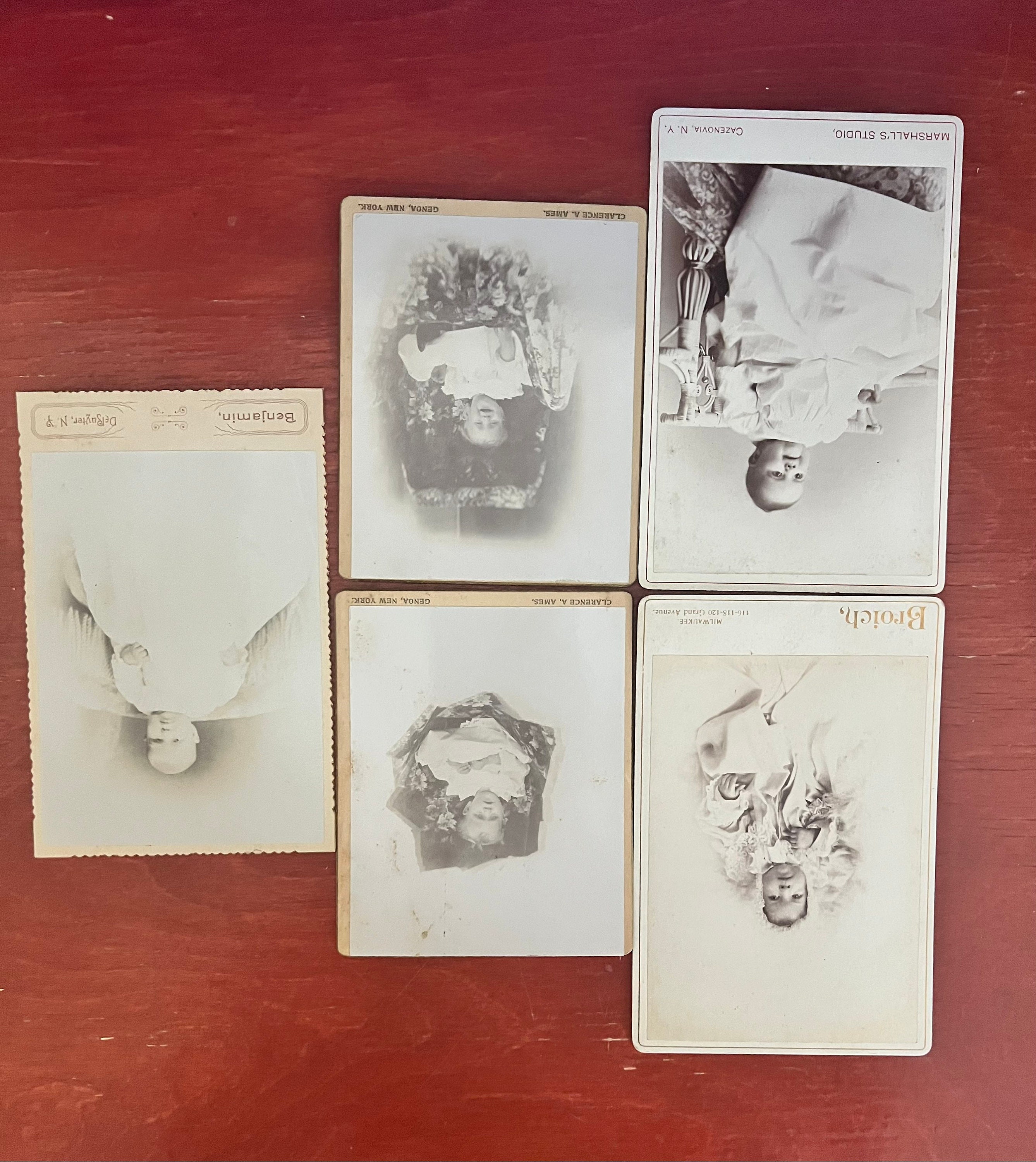 Victorian Era Baby Portraits Lot of 5 Instant Family. - Etsy