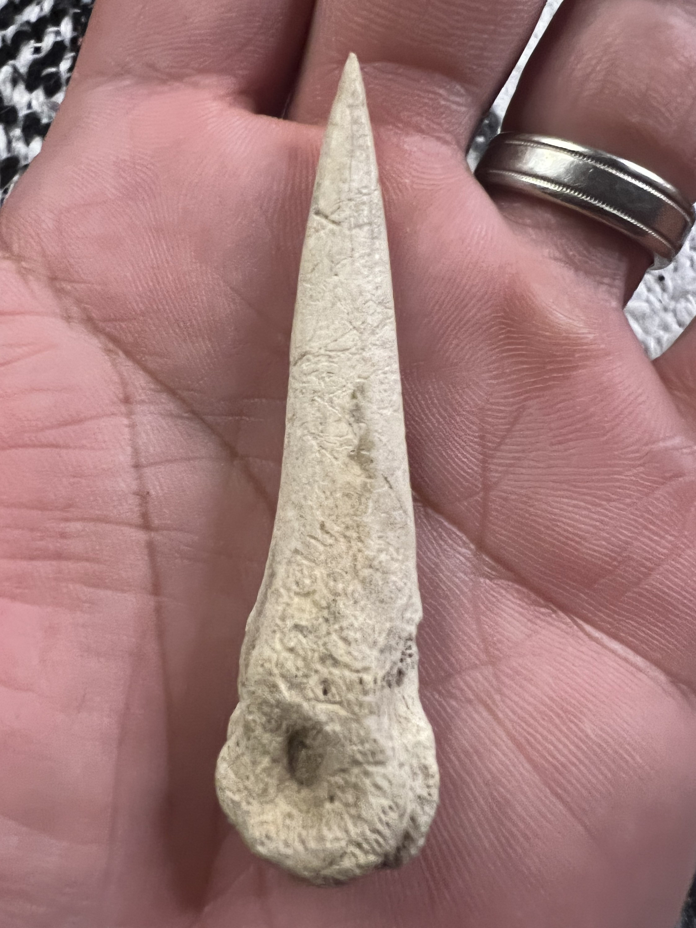 A Super Nice Cannon Bone Awl Found in South Dakota. - Etsy