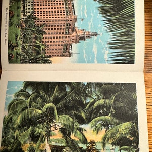 Circa 1920s Antique Postcard Folder 18 Cards Miami Florida - Etsy