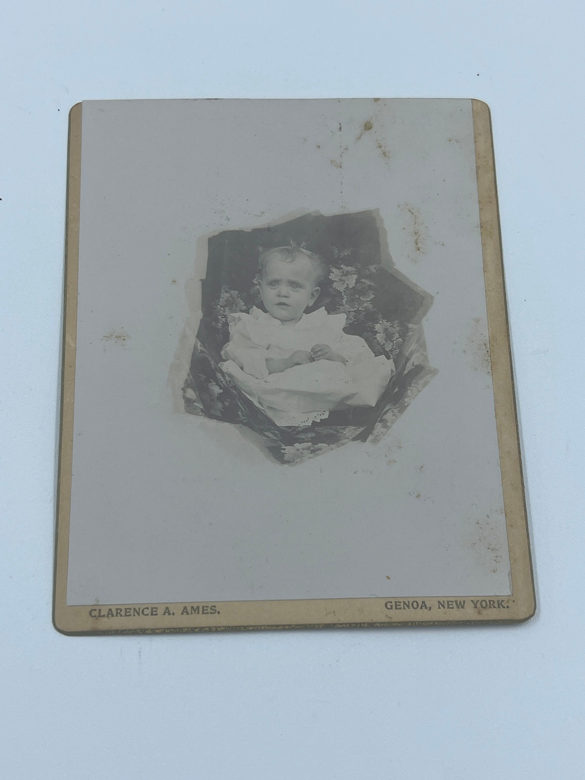 Victorian Era Baby Portraits Lot of 5 Instant Family. - Etsy