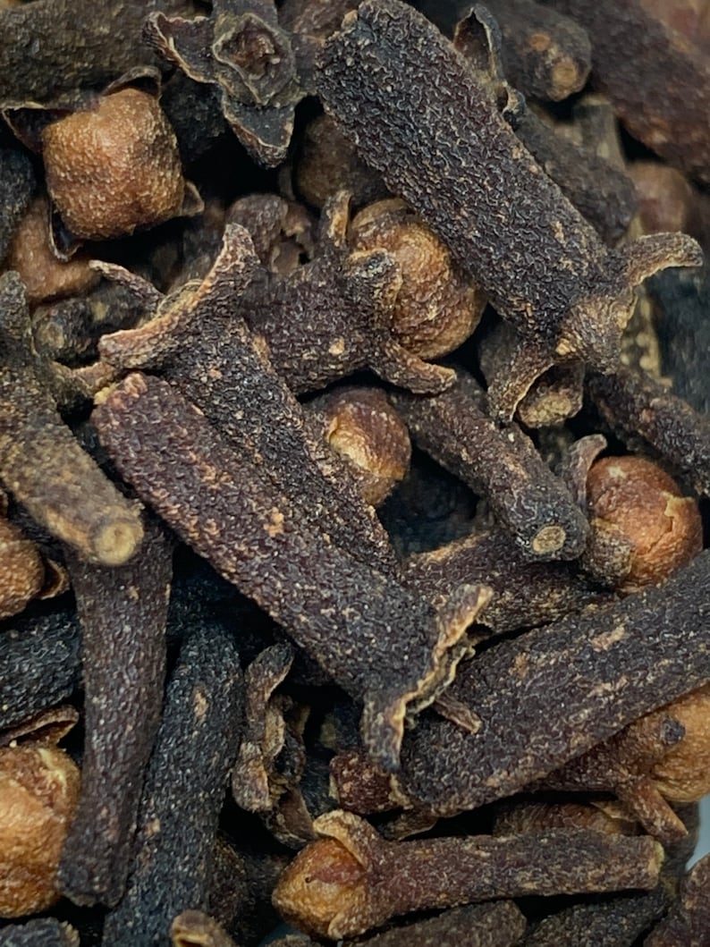 Cloves Sourced From Jordan Various Sizes Available - Etsy