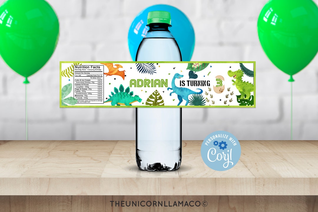 EDITABLE Dinosaur Bottle Labels, Summer Party Labels, T-rex Favors ...