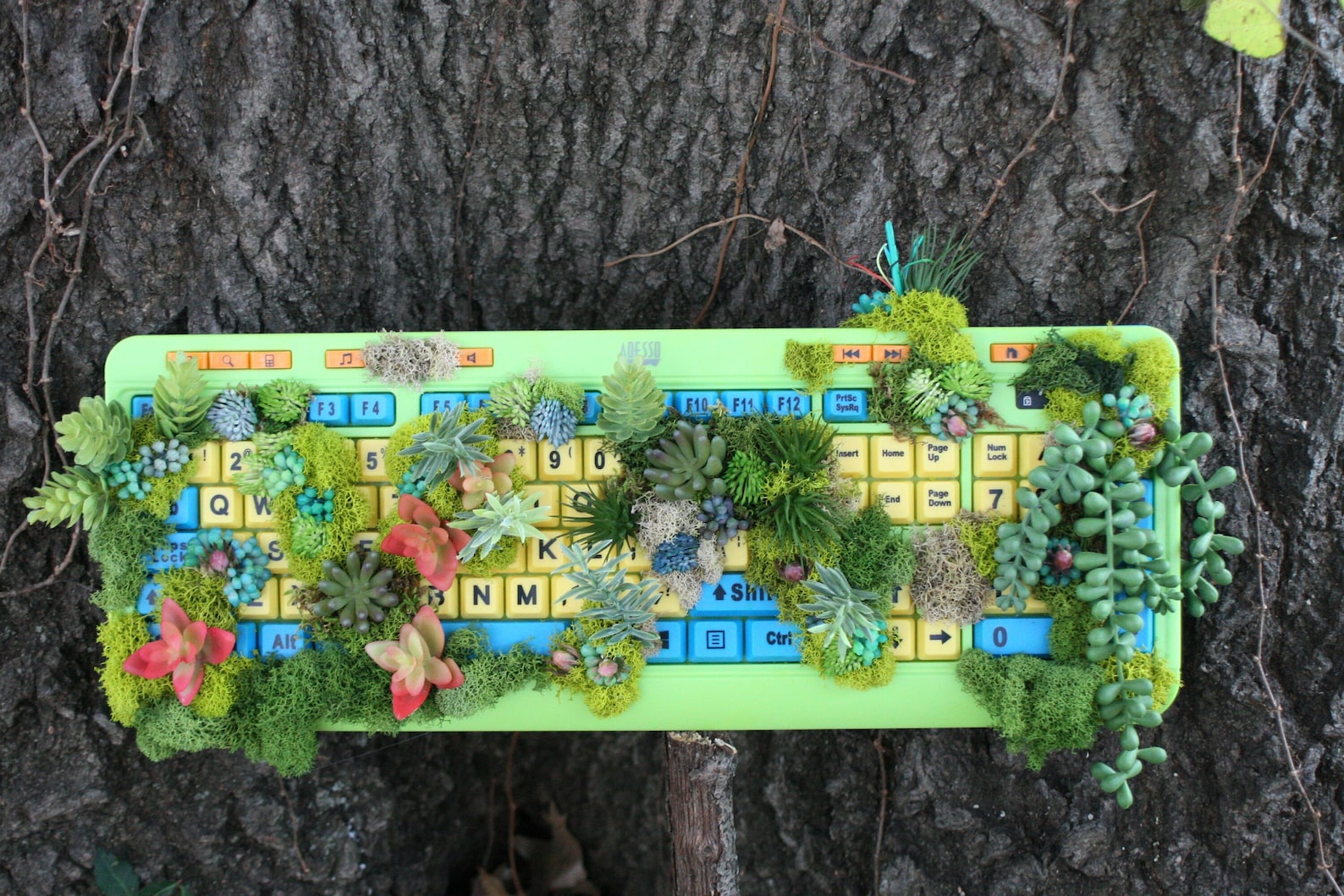 Keyboard Decorated With Preserved Moss & Artificial Succulent Variety ...