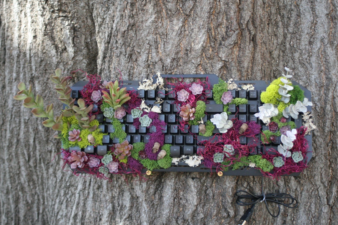 RGB Keyboard Decorated With Preserved Moss & Artificial Succulent ...