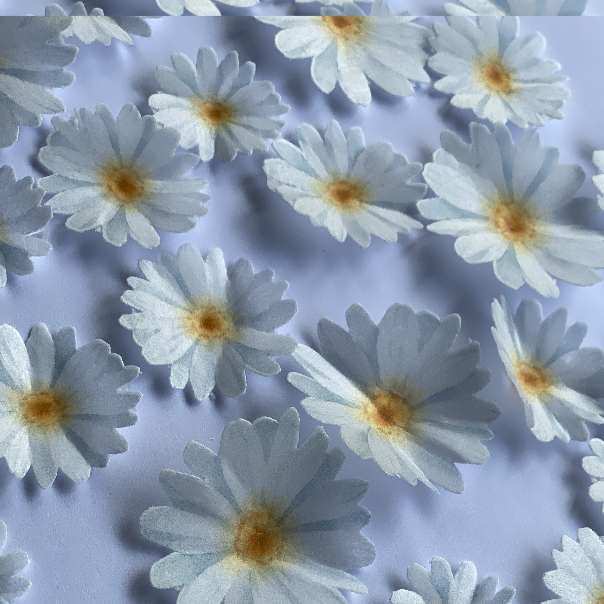 Pre-cut Edible Wafer Daisies Flowers - Etsy Australia