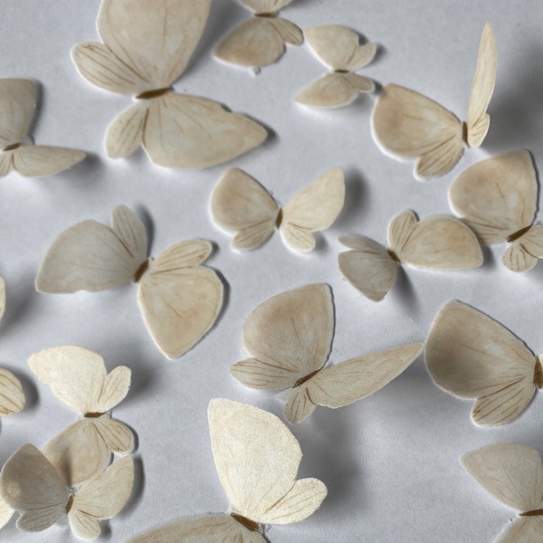 Nude Butterflies Baking - Etsy