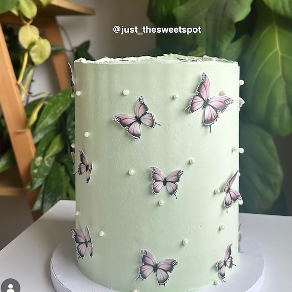 Farfalle Rosa E Nere